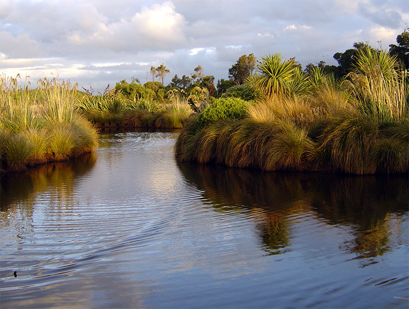 Southland Community Nursery